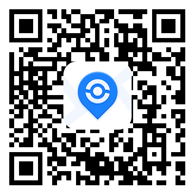 iAnyGo Руководство для доверения разработчику